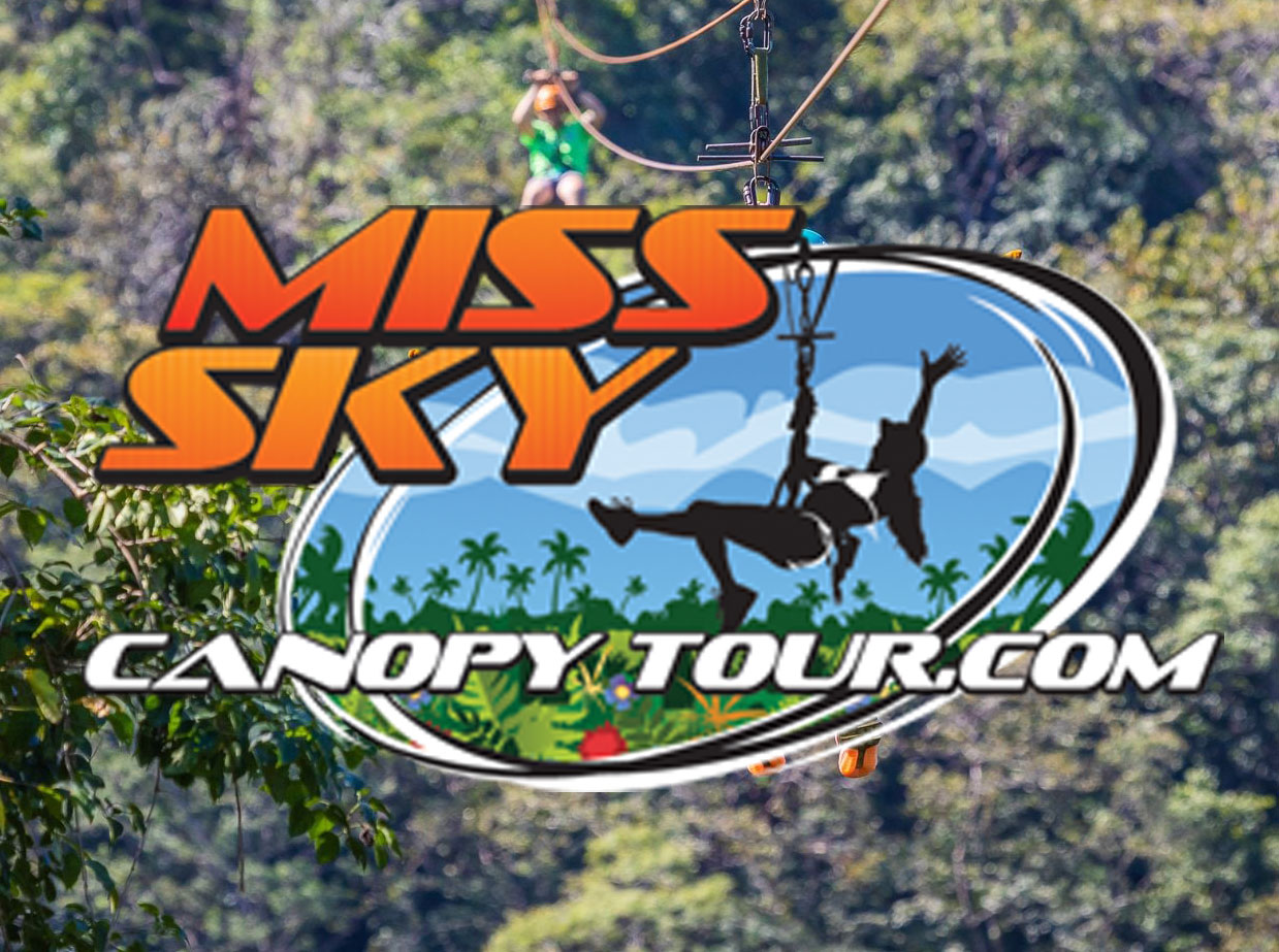 Miss Sky Canopy Tour :: Best Zipline in Nosara, Costa Rica
